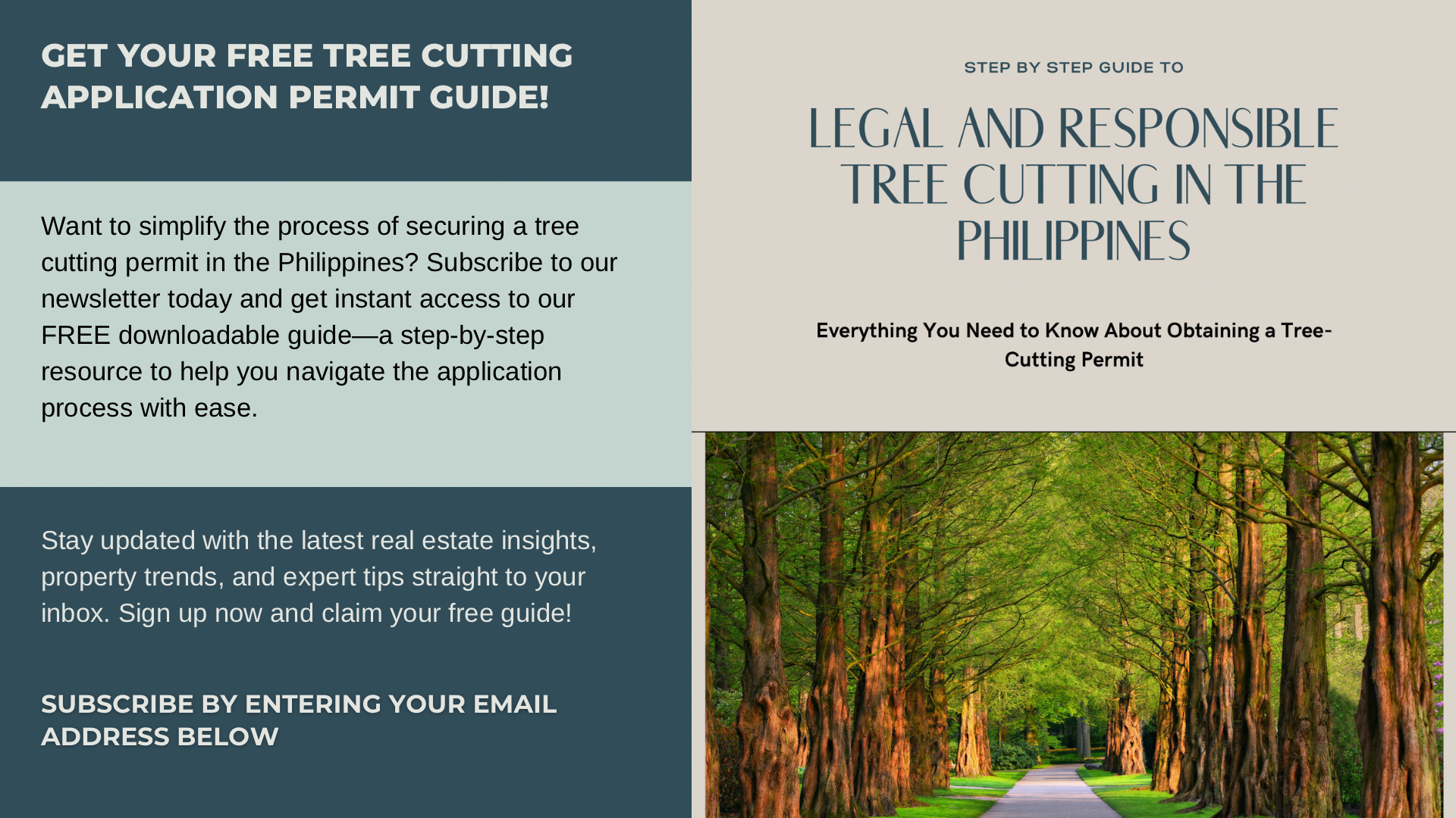 Legal and Responsible Tree Cutting: Obtaining a Permit in the ...