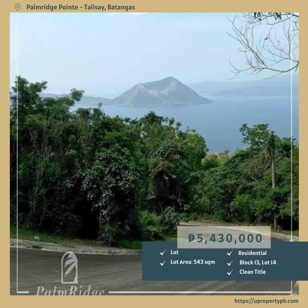 For Sale: 543 sqm Scenic Residential Lot in Palmridge Pointe, Talisay ...