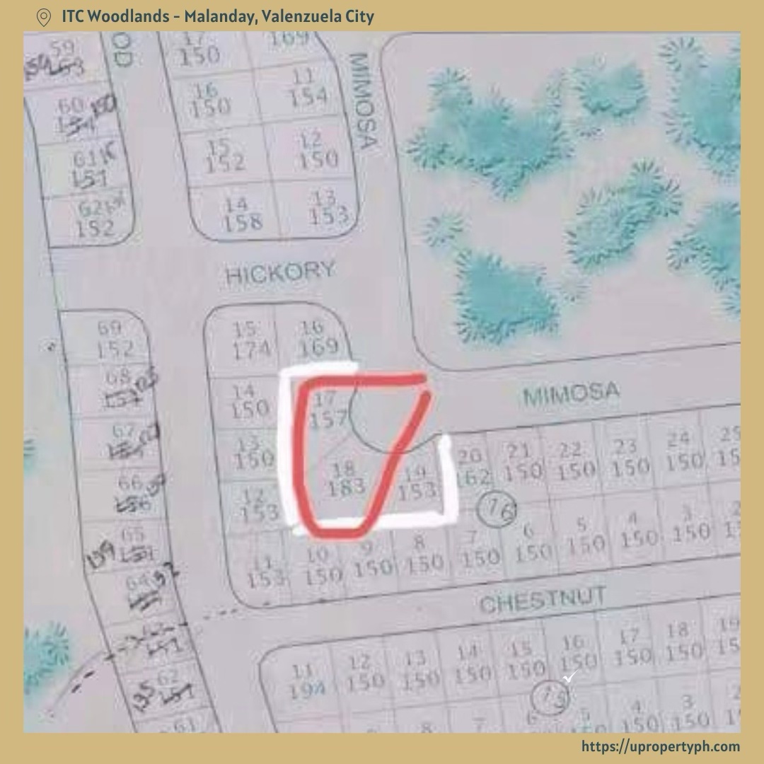 Residential Lot for Sale at ITC Woodlands in Malanday, Valenzuela City ...